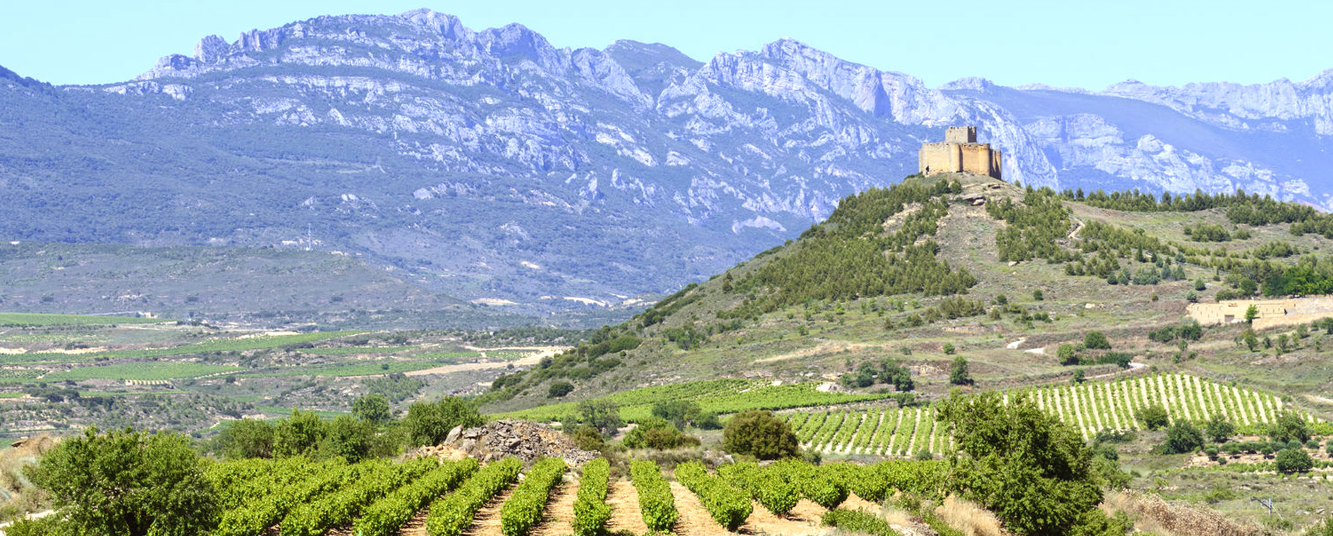 La Rioja: history, culture, villages, wine... a lot to discover!