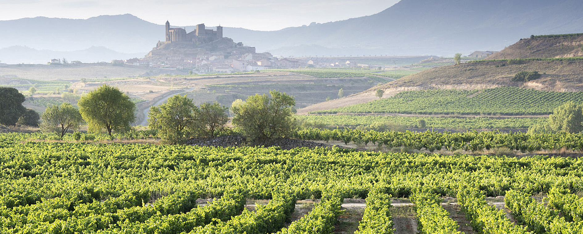 La Rioja: history, culture, villages, wine... a lot to discover!